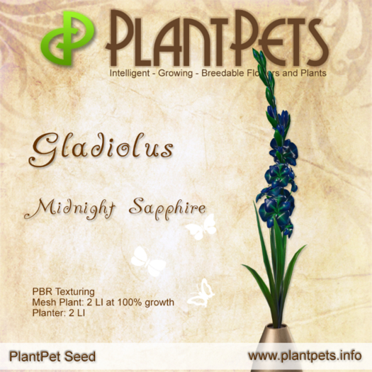 Second Life Marketplace - PlantPet Seed [Gladiolus *Midnight Sapphire ...